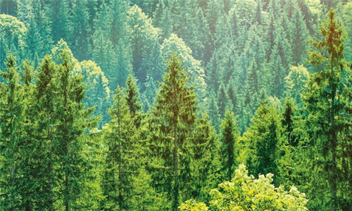 Boost Learning - Courses | Resources | Lessons | eBooks | Knowledge Tests