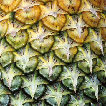 Boost Learning - Courses | Resources | Lessons | eBooks | Knowledge Tests